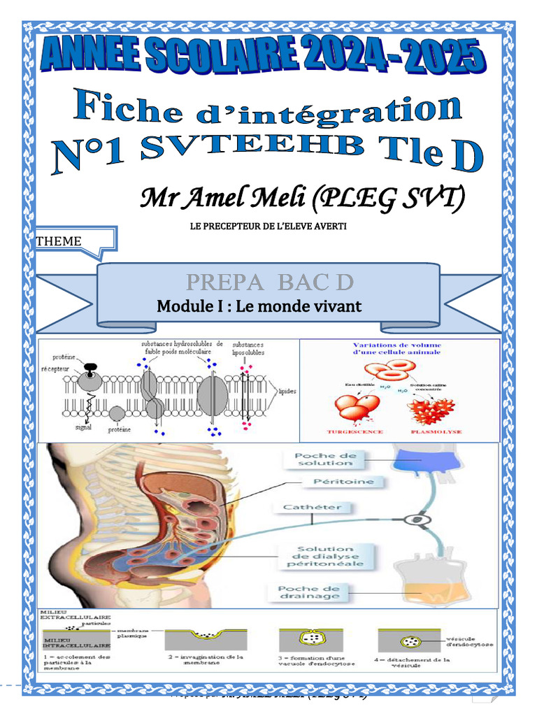Intégration N°1 SVTEEHB Tle D 2024 Amel Meli-1 | PDF