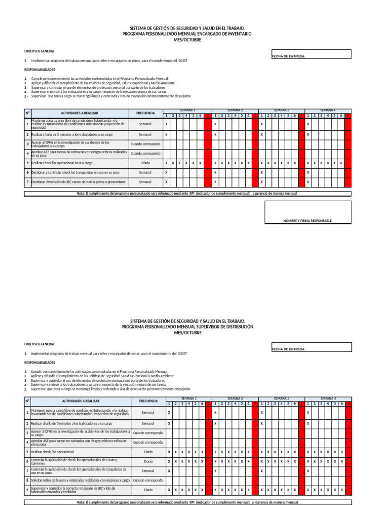 Programa Personalizado Mensual | PDF