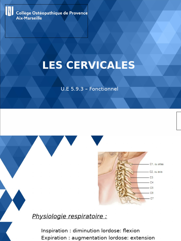 Techniques Fonctionnelles des Cervicales | PDF | Vertèbre | Médecine ...