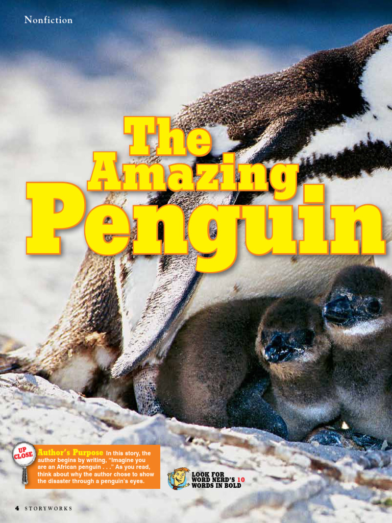 Nonfiction - Storyworks - Scholastic | PDF | Penguin | Sea