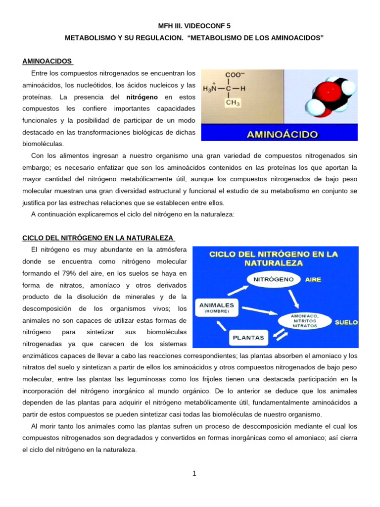Confe Sem 4 Nitrog | PDF