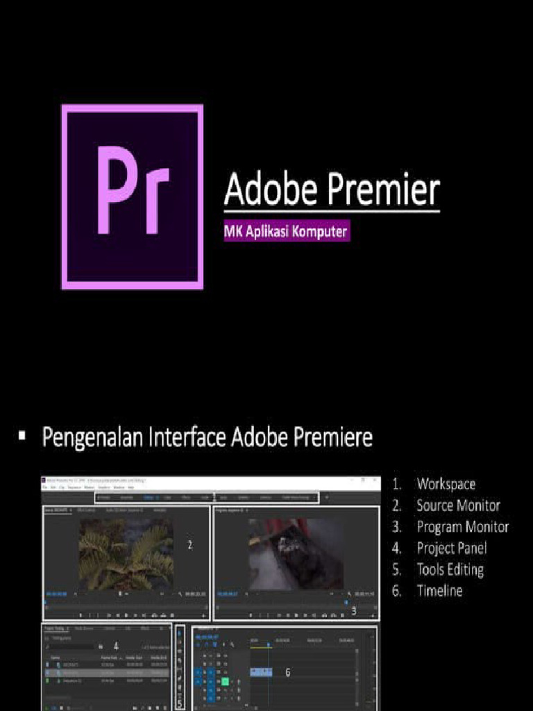 Adobe Premier | PDF