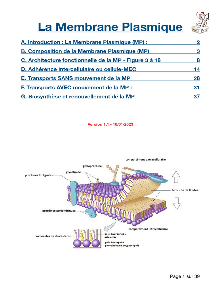 Membrane Plasmique | PDF
