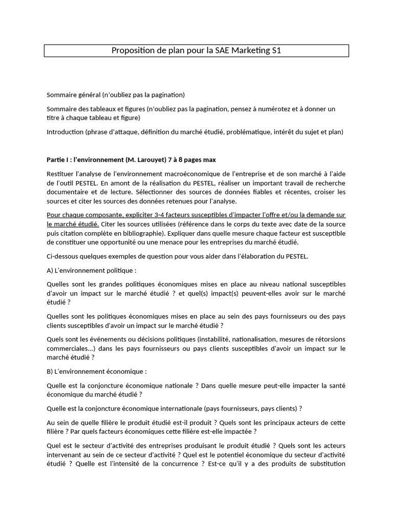 Proposition de Plan Pour La SAE Marketing S1 | PDF