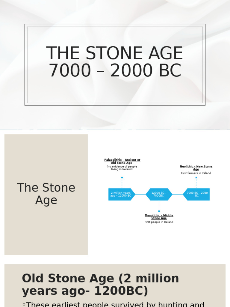 The Stone Age 1 | PDF