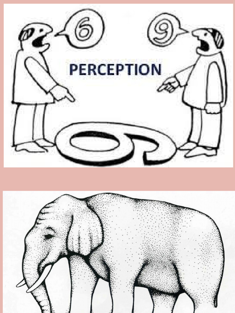 PERCEPTION and OB | PDF