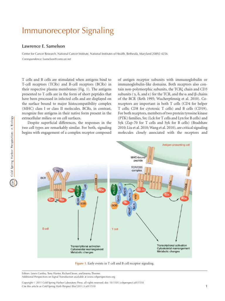 TD1 Signalisation | PDF