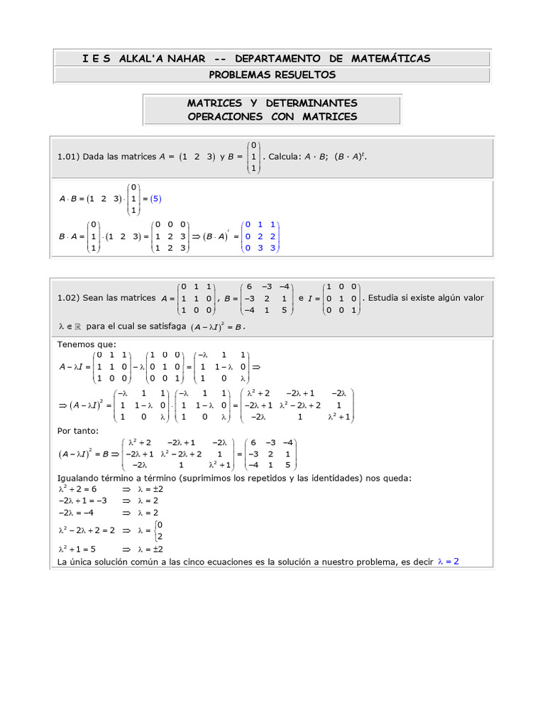 1.1. Operaciones Con Matrices - Soluciones | PDF