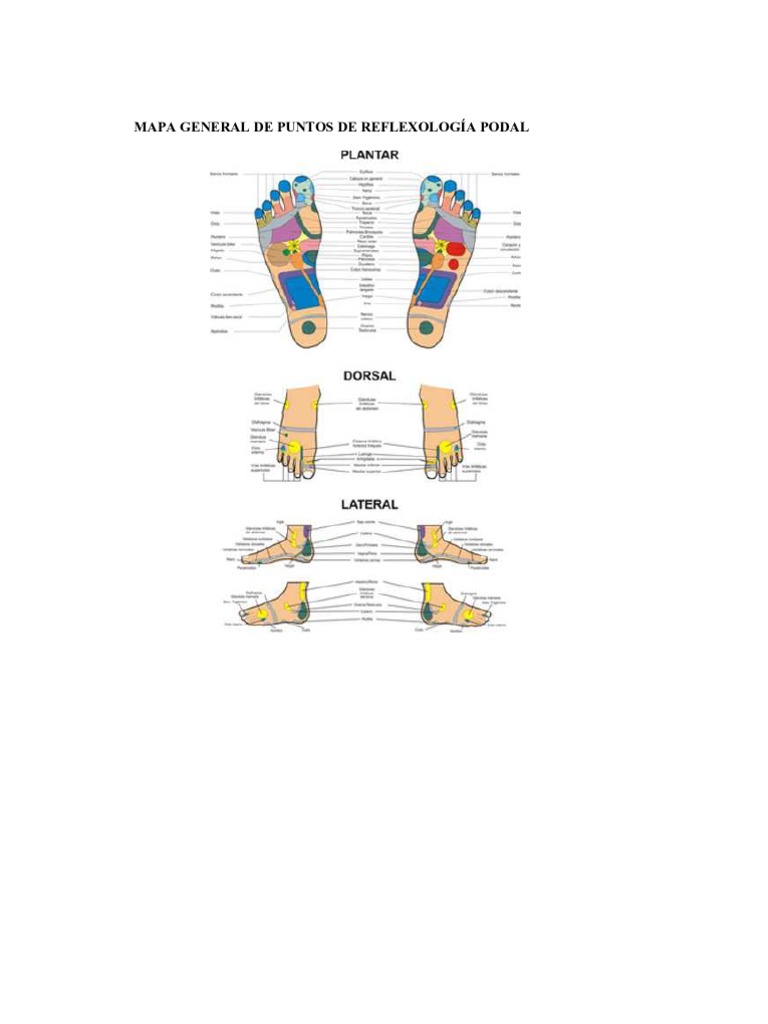 Mapa General de Puntos de Reflexología Podal | PDF