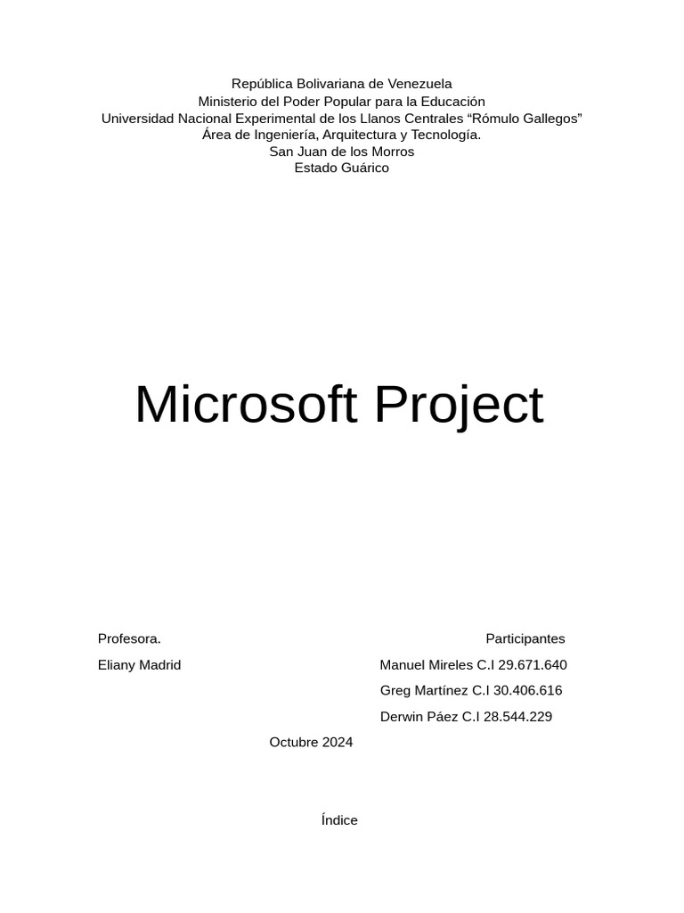 Microsoft Project | PDF