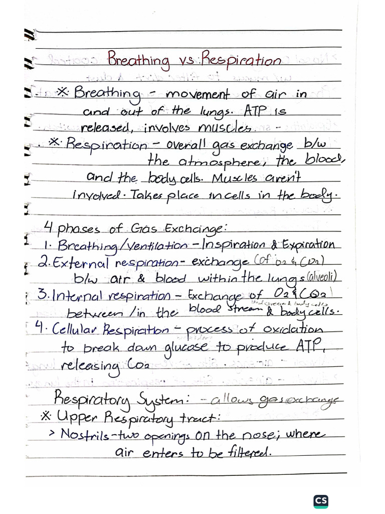 JHS Science Notes | PDF