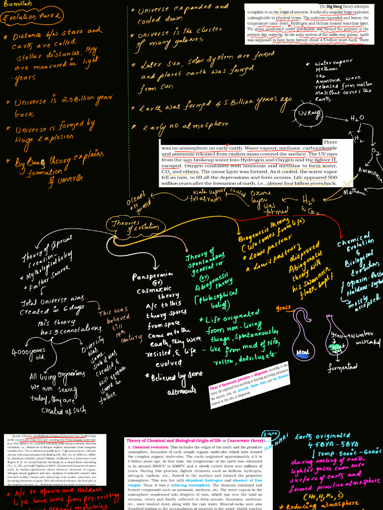 Evolution Part 2... | PDF