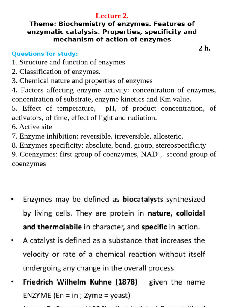 lecture №2. Enzymes-1 | PDF