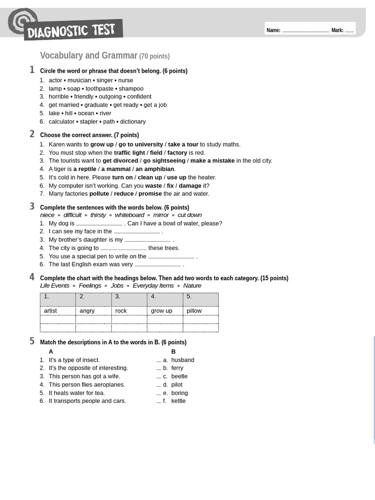 Diagnostic Test | PDF
