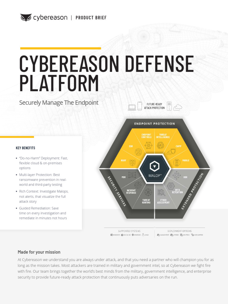 Datasheet Cybereason Defense Platform | PDF