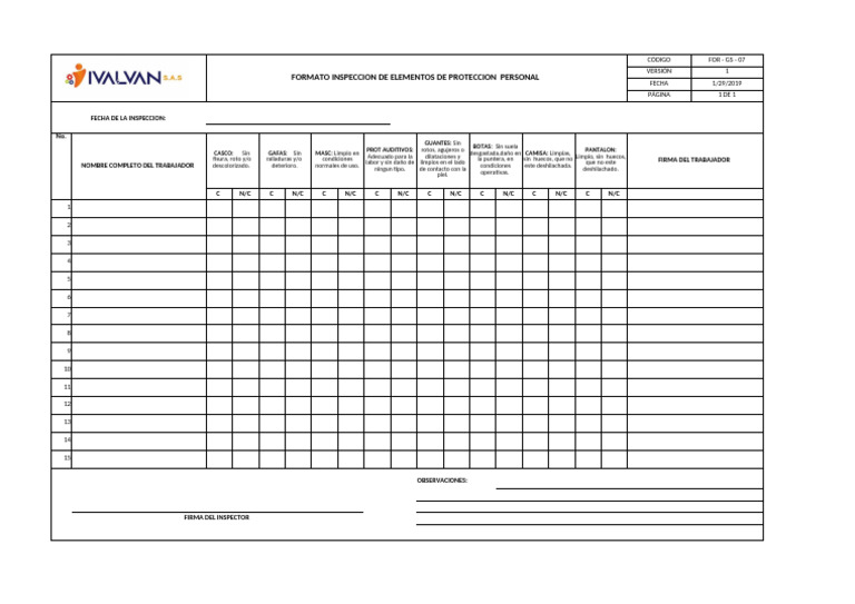 FORMATO INSP EPP (3) | PDF