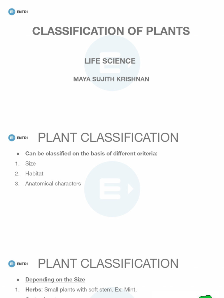 Classification of Plants | PDF