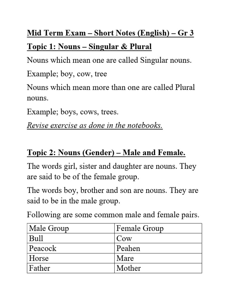 English Grade 3 Notes | PDF