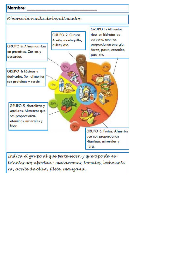 Grupos de Alimentos | PDF