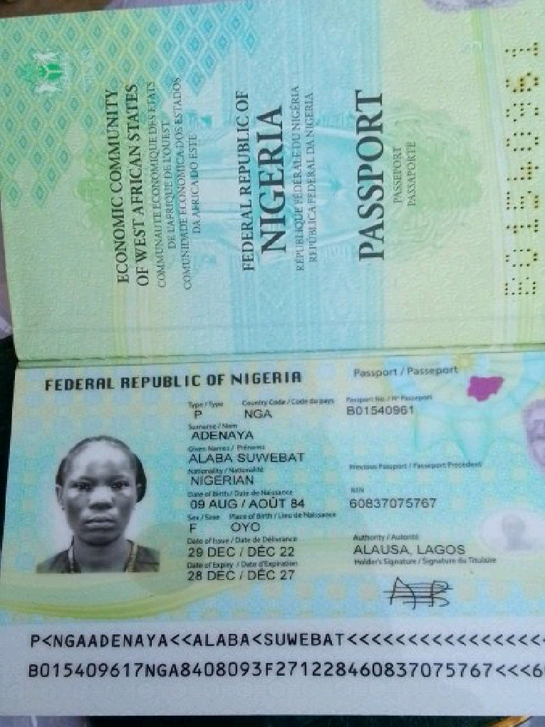 PDF Phoenix 20241001 181919 | PDF