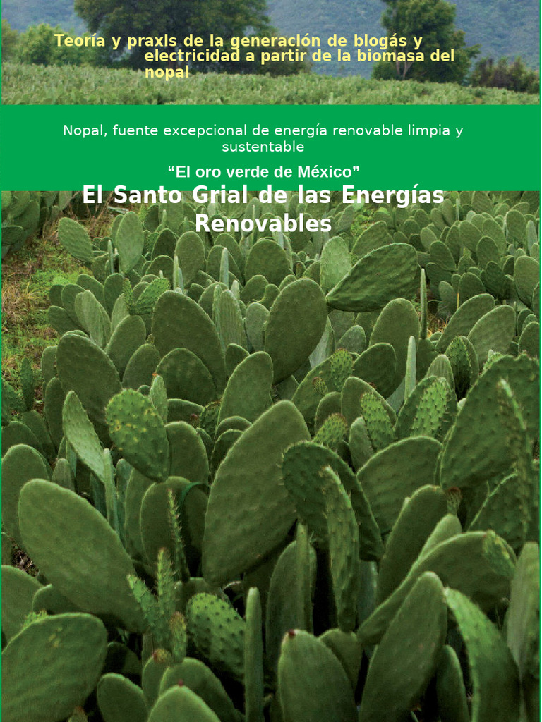 Libro Nopal 2015 | PDF