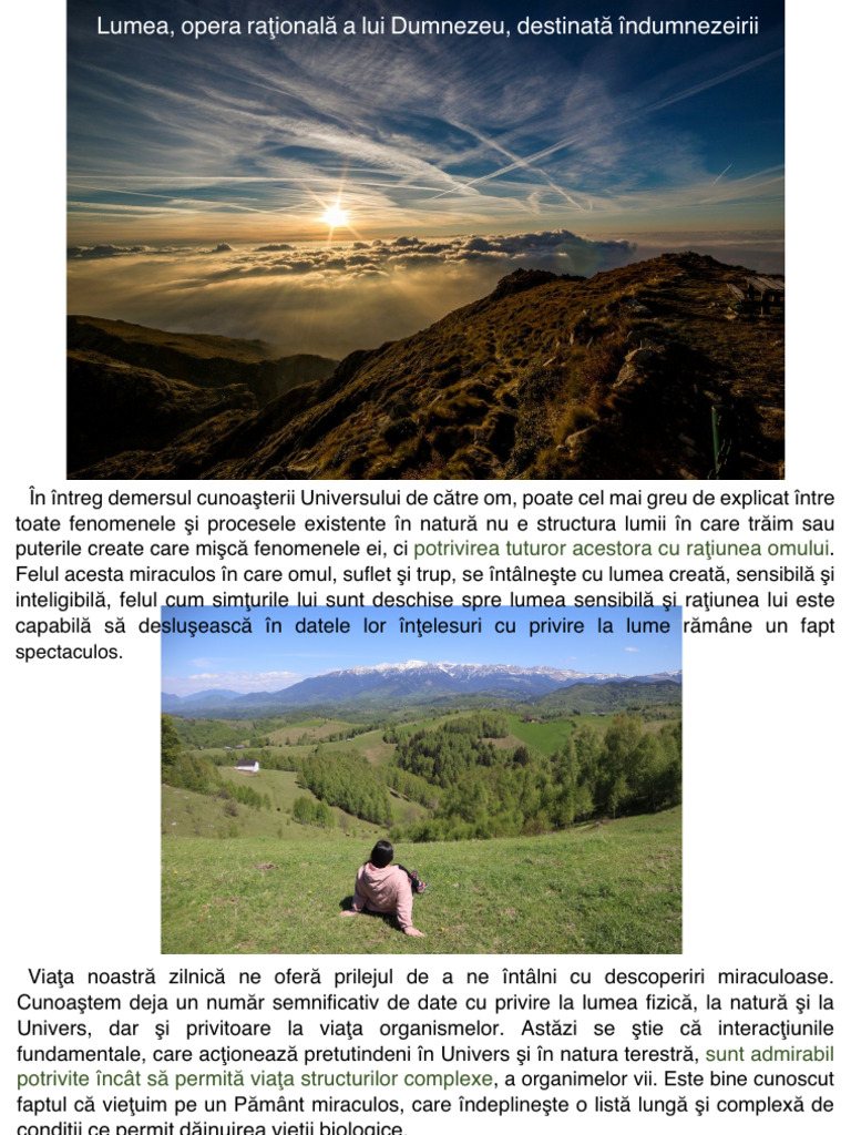 Rationalitatea Creatiei X Seminar | PDF