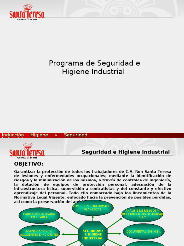 Programa de Seguridad e Higiene Industrial | PDF