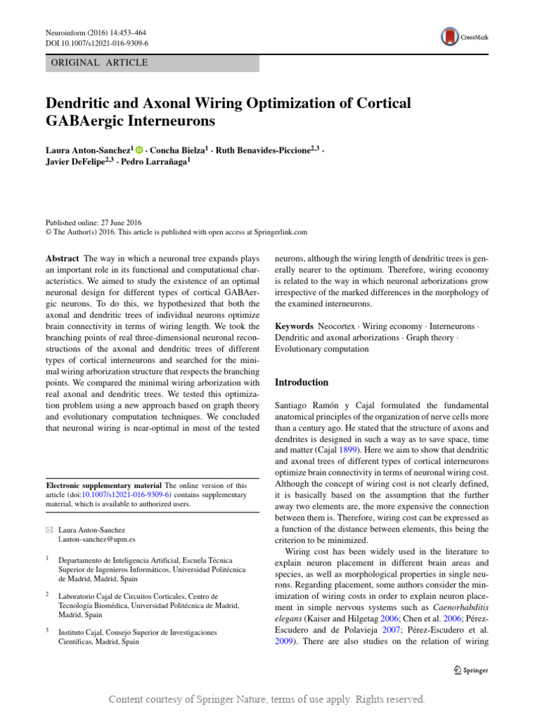 Dendritic and Axonal Wiring Optimization of Cortic | PDF