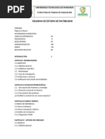 Formato Estudio de Factibilidad Actualizado | PDF | Presupuesto | Estudio de factibilidad