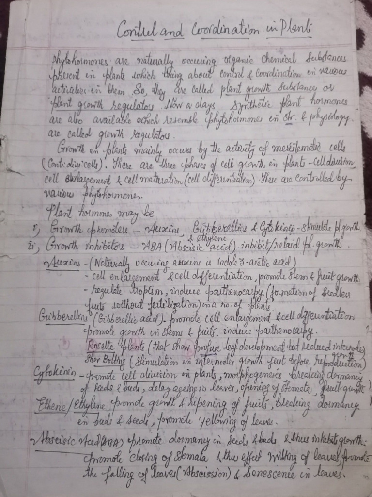 Control and Coordination in Plants - Phytohormones 18-Sep-2024 20-27-49 ...