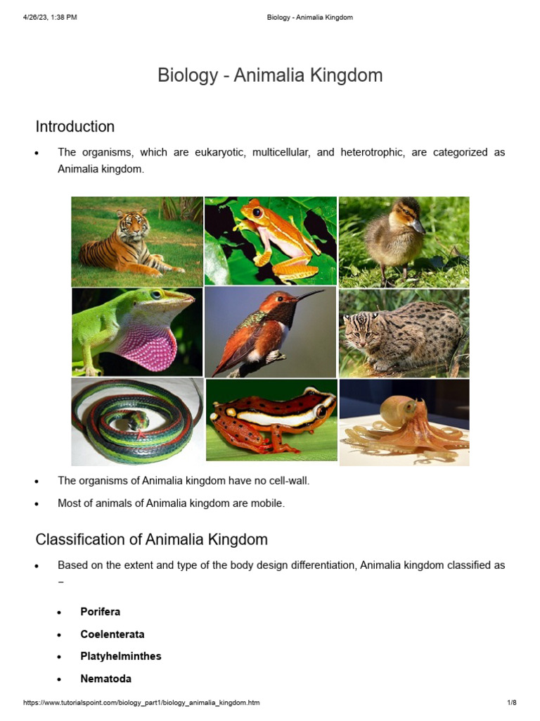 Biology - Animalia Kingdom | PDF | Organisms