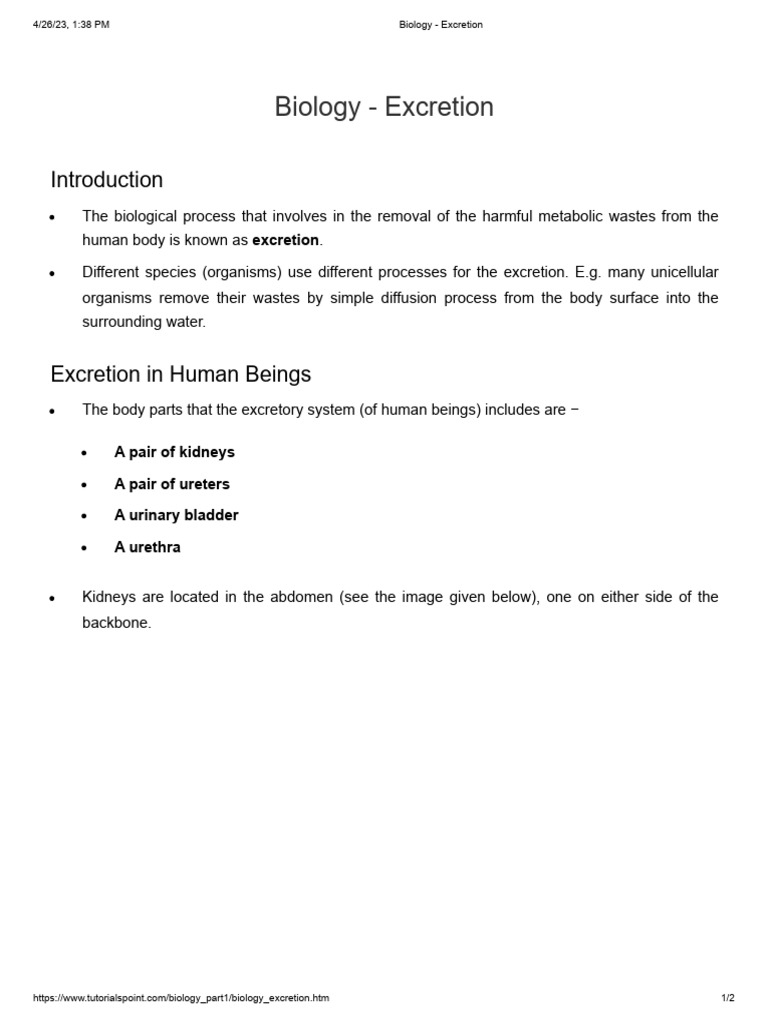 Biology - Excretion | PDF