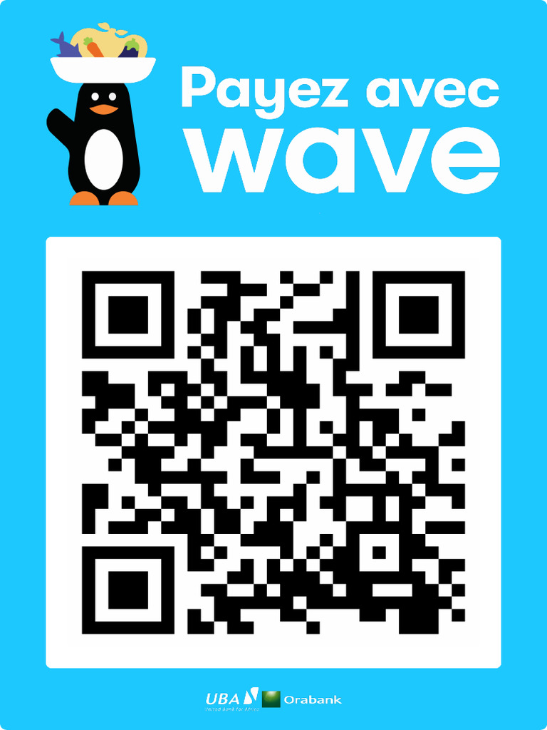Static Wave QR | PDF