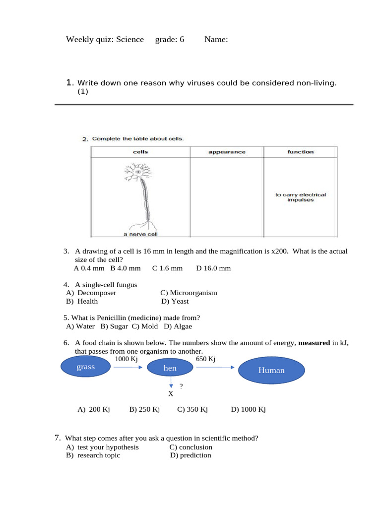 Weekly Quiz | PDF