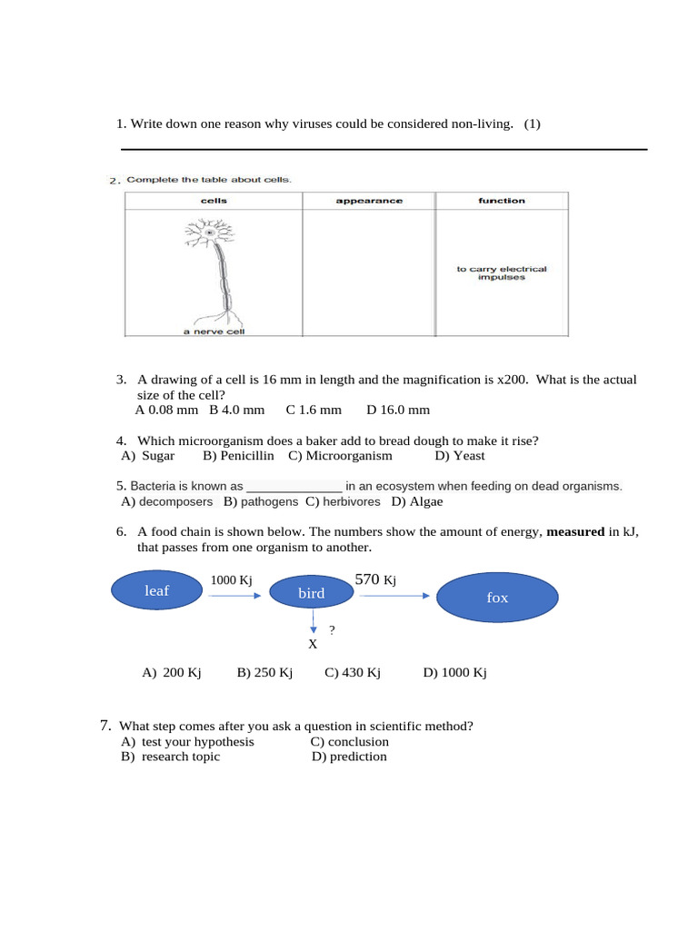 Progress Test Science Grade 66 | PDF