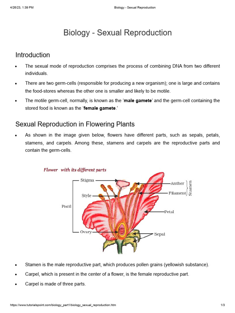 Biology - Sexual Reproduction | PDF | Human Reproduction | Reproductive ...