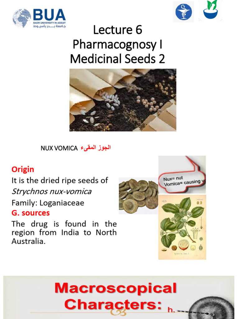 Seeds 2 - Lec. 6 | PDF