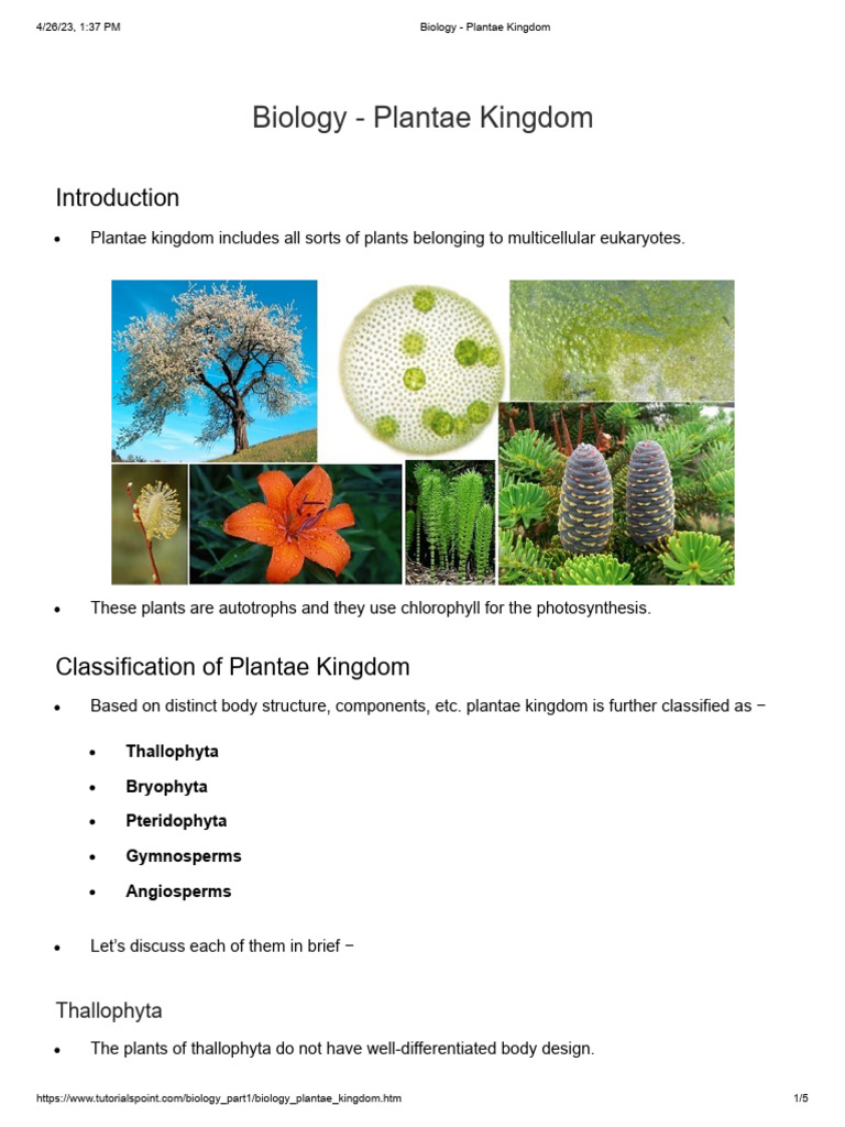 Biology - Plantae Kingdom | PDF