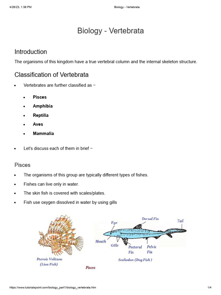 Biology - Vertebrata | PDF