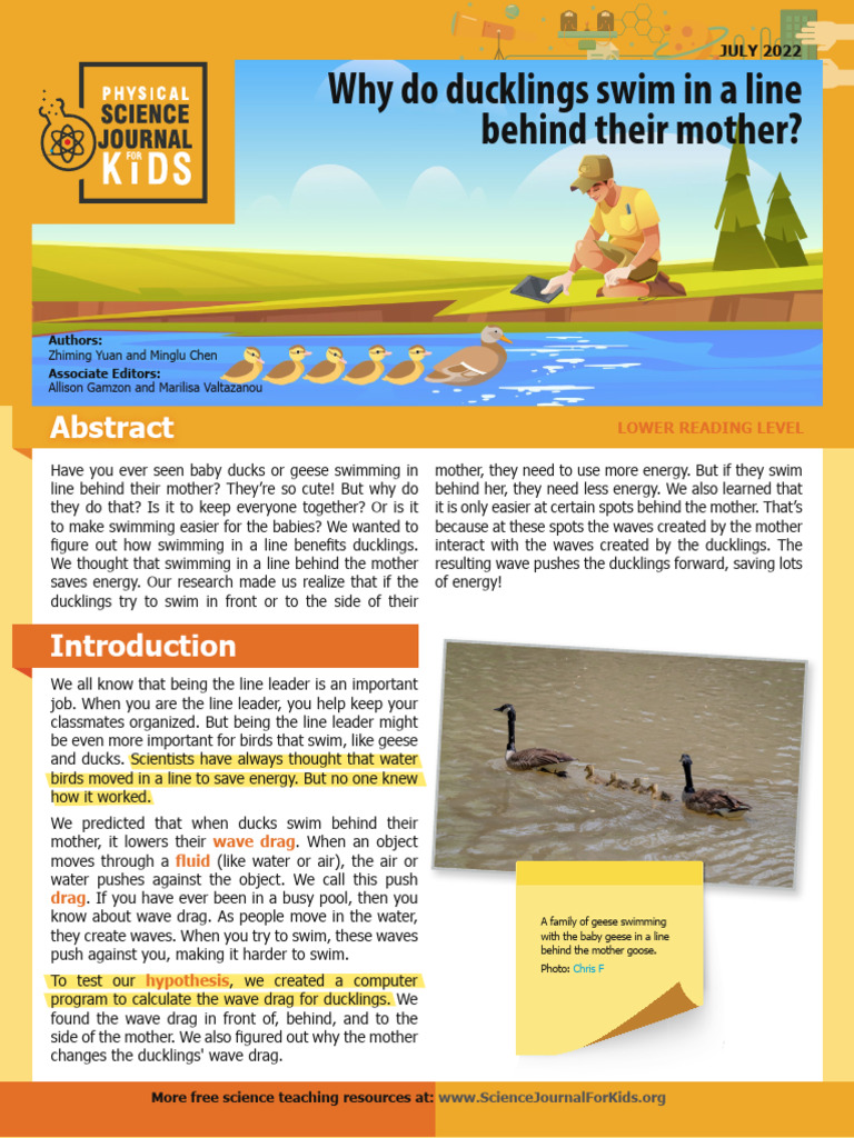 Article_Why do ducklings swim in a line | PDF