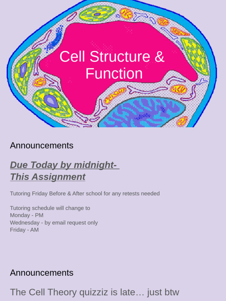 Ali Syed Cell Structure Webquest | PDF