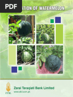 Watermelon Farming Guide | PDF | Watermelon | Soil