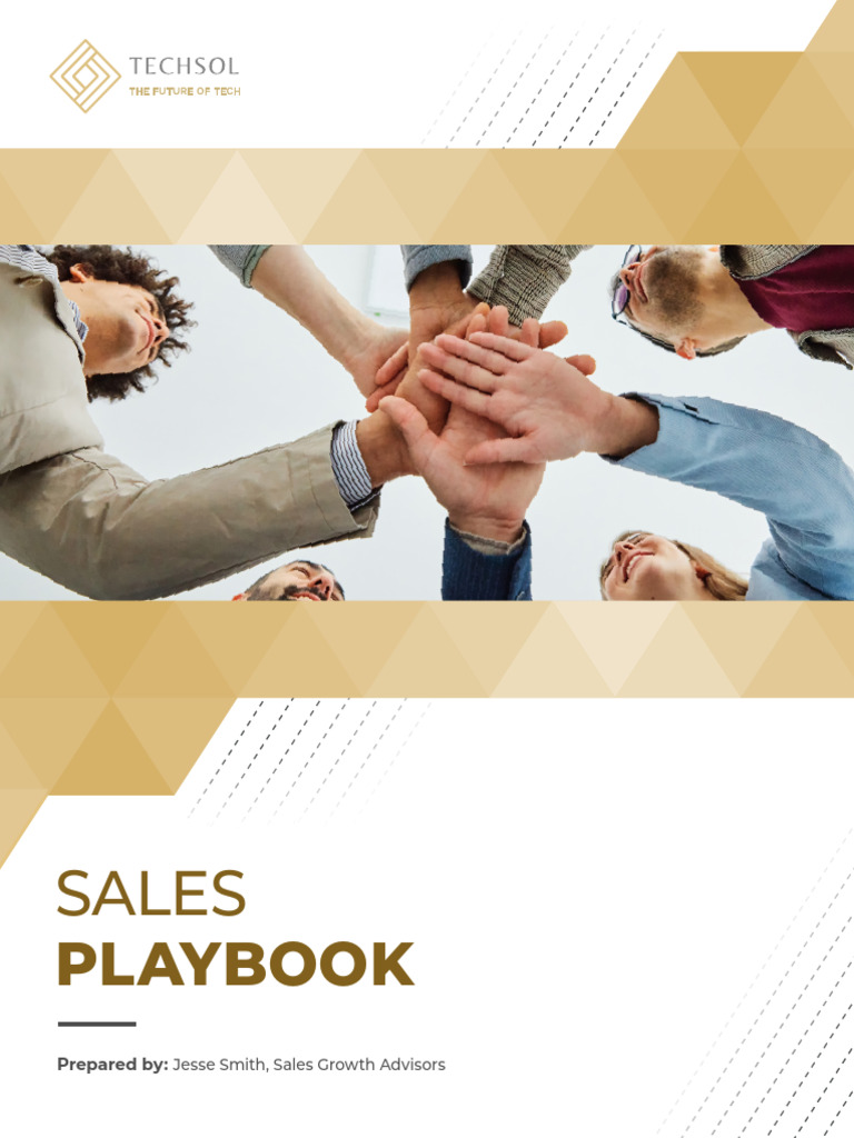 SX Standard Sales Playbook Sample | PDF