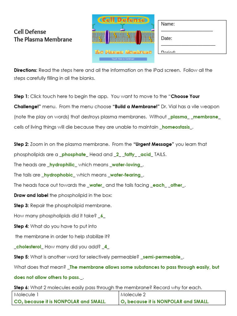 Cell Defense Worksheet | PDF
