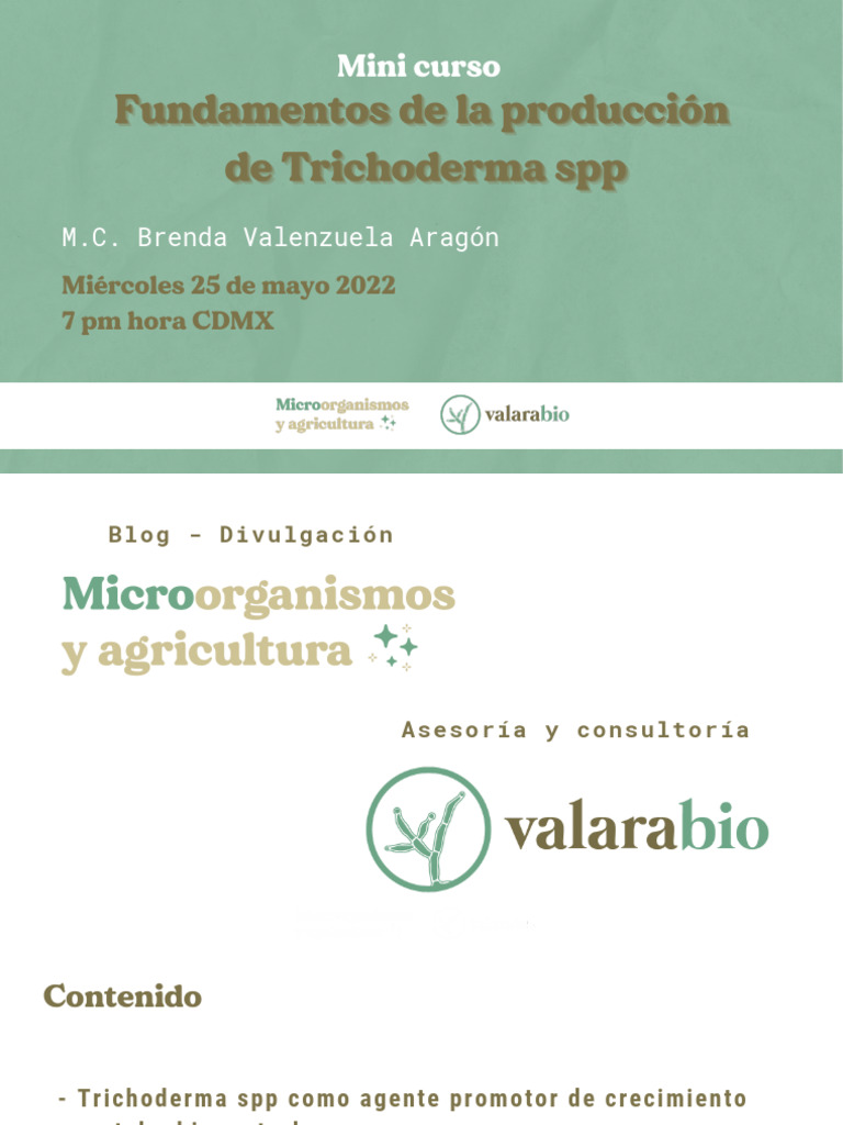 Fundamentos de La Produccion de Trichoderma SPP | PDF