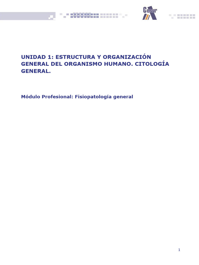 UD1 Estructura Cuerpo Humano | PDF