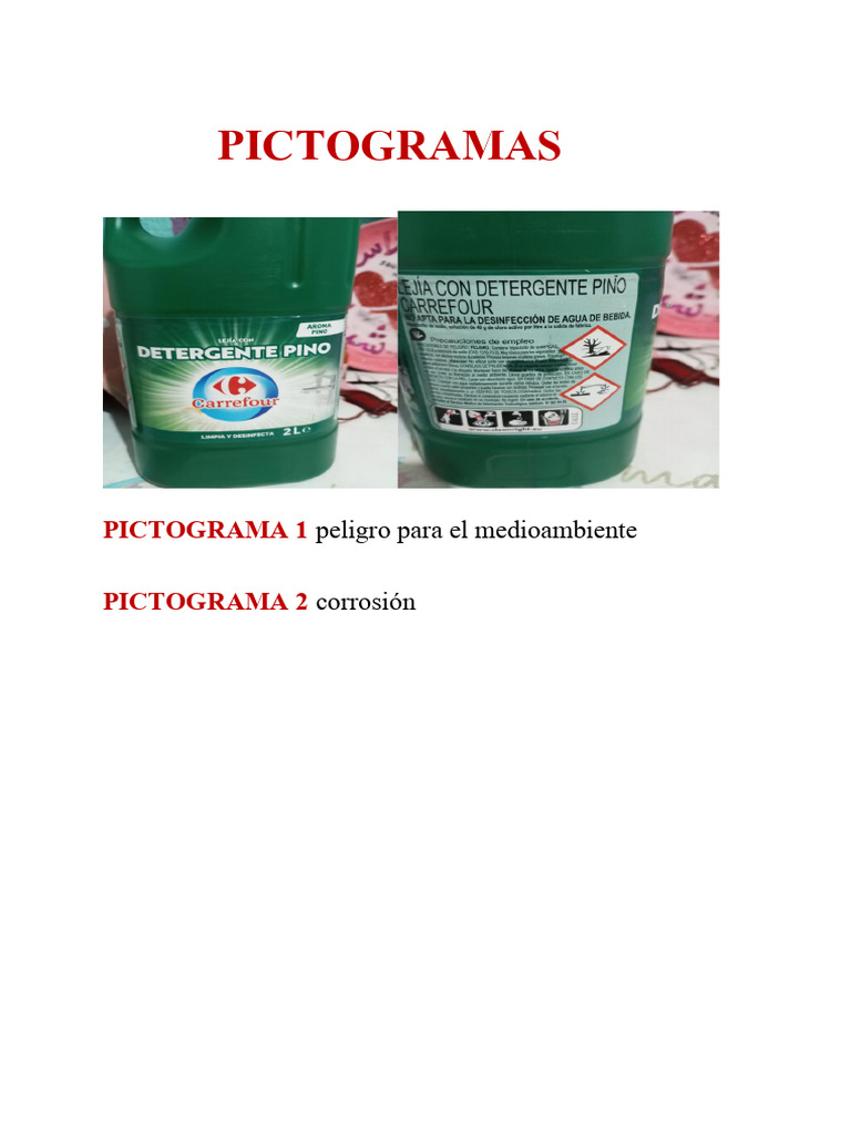 Documento 7 | PDF