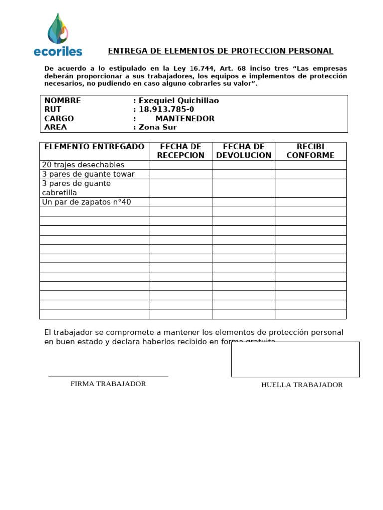 Entrega EPP Agosto 2024 | PDF