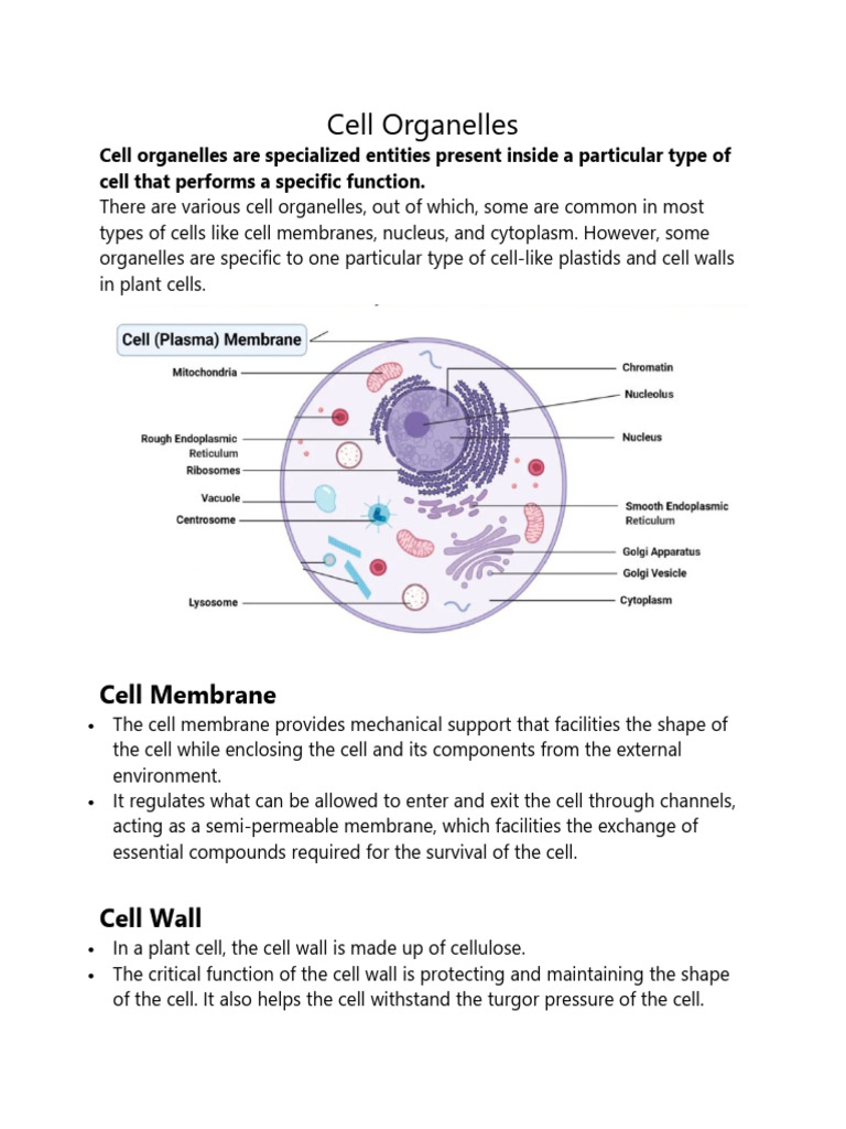 Science CELL | PDF