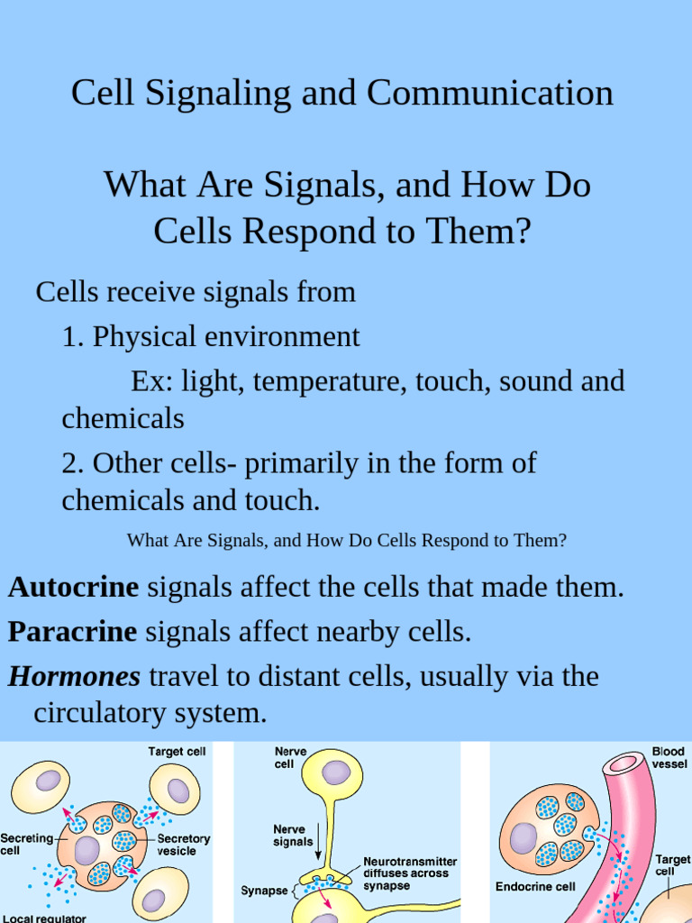 Cell Signaling and Communication Lecture | PDF